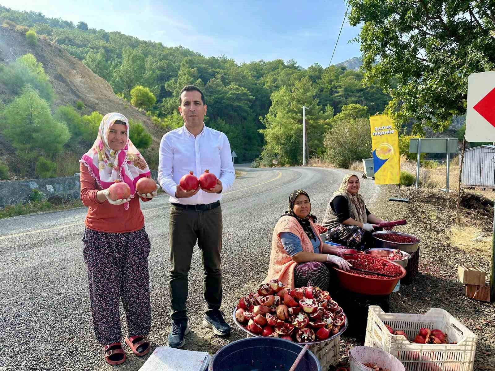 Daldan sofraya ekşi yolculuk - Bodrum Kapak Haber - Bodrum Haberleri