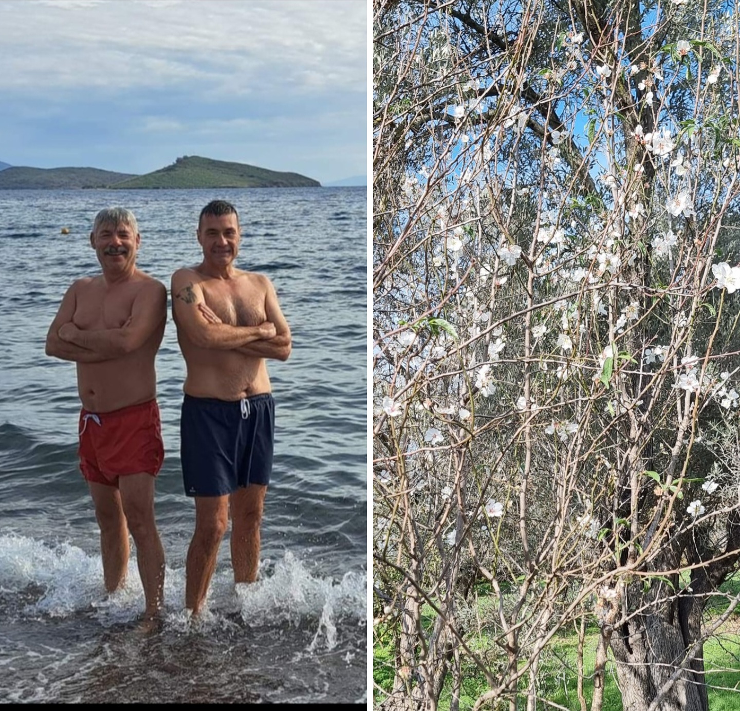 Bodrum’da hem bahar hem deniz mevsimi bir arada yaşanıyor. - Bodrum ...