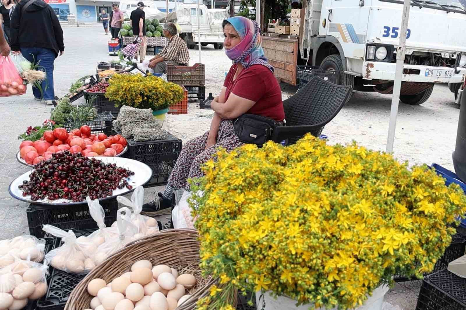 Tüm zamanların en şifalı bitkisi ‘Kantaron’ zamanı - Bodrum Kapak Haber ...